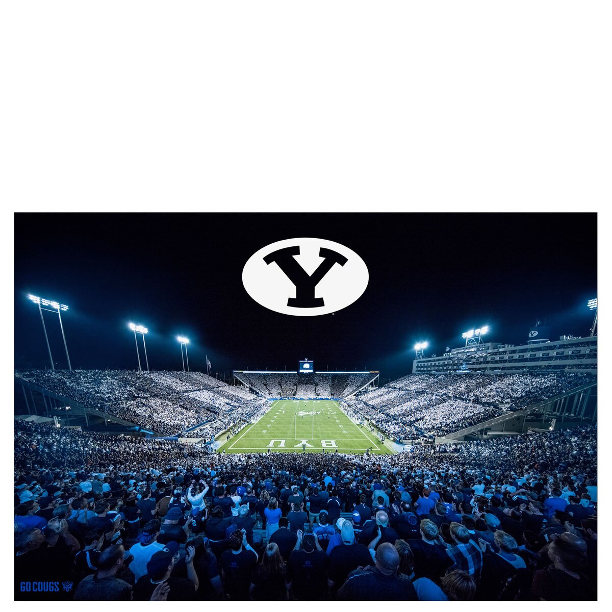 Endzone Stadium Oval Y Gator Board Poster - 24" x 36"