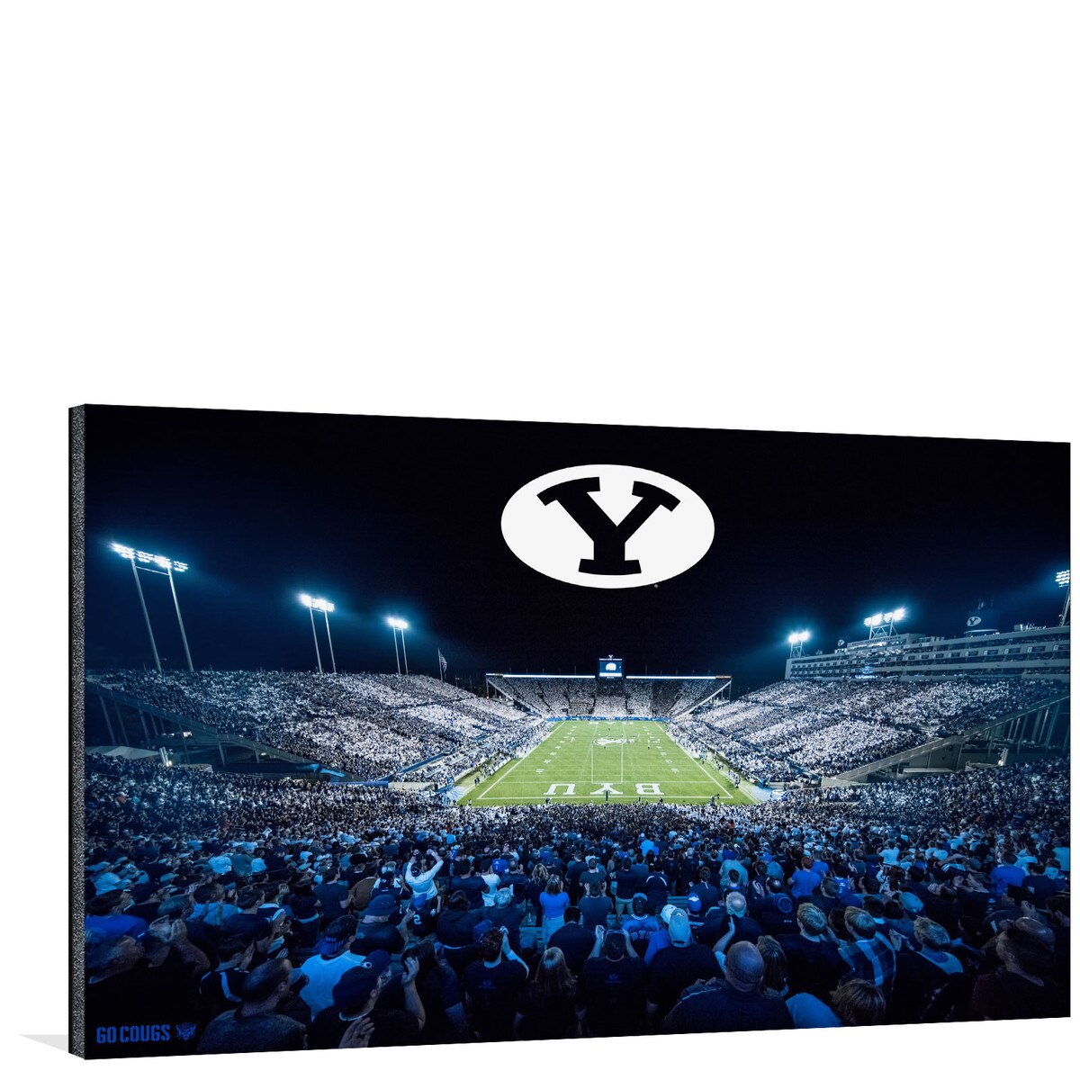 Endzone Stadium Oval Y Gator Board Poster - 24