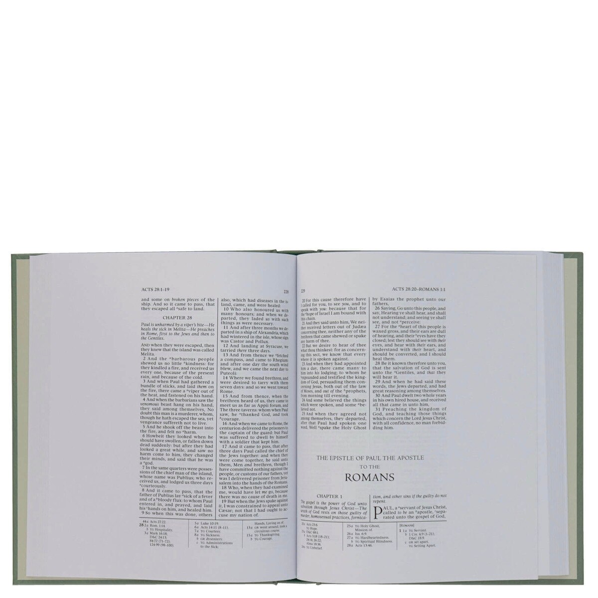 Unlined Sage New Testament Journal Edition