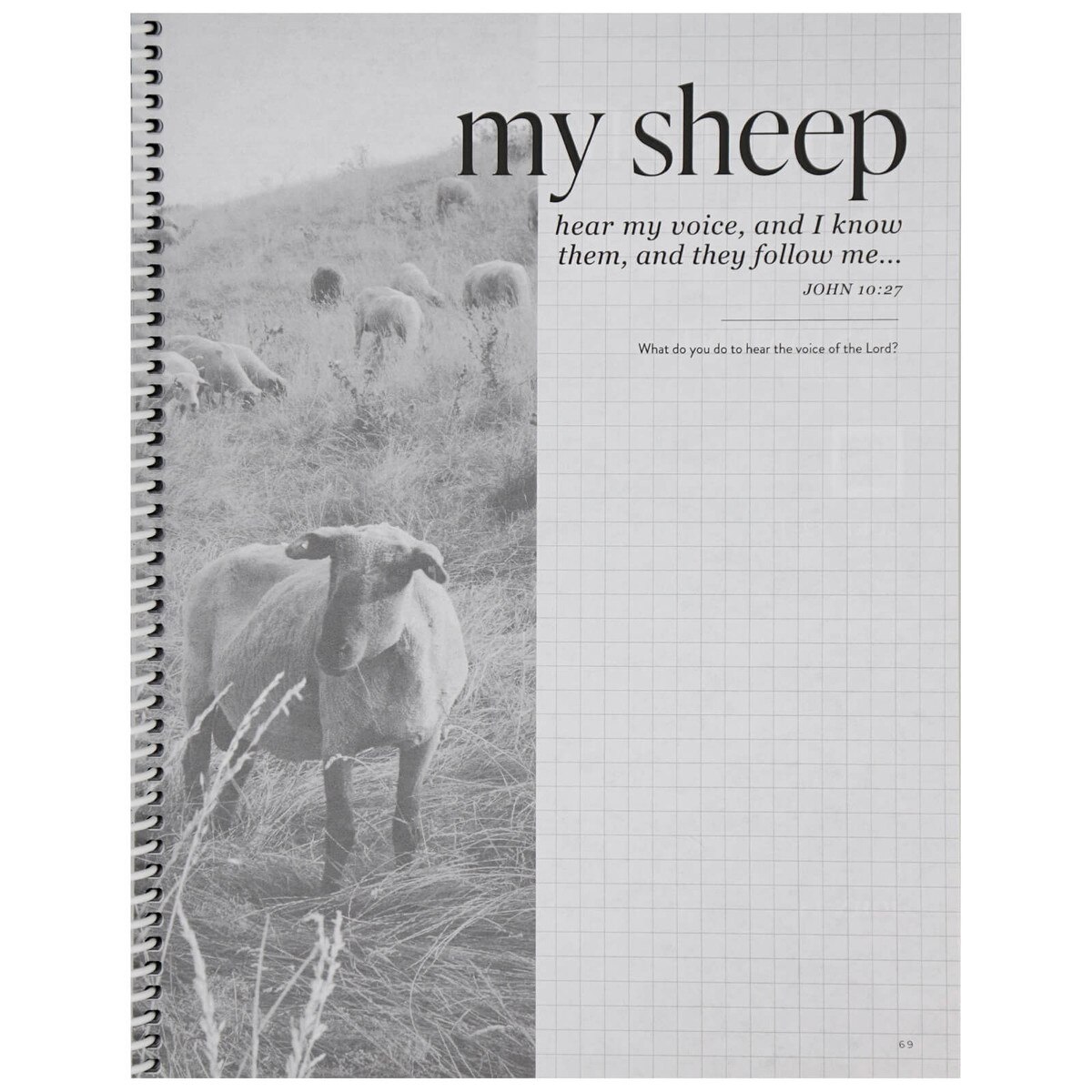 The New Testament: Gathering Personal Insights By Shannon Foster and ...