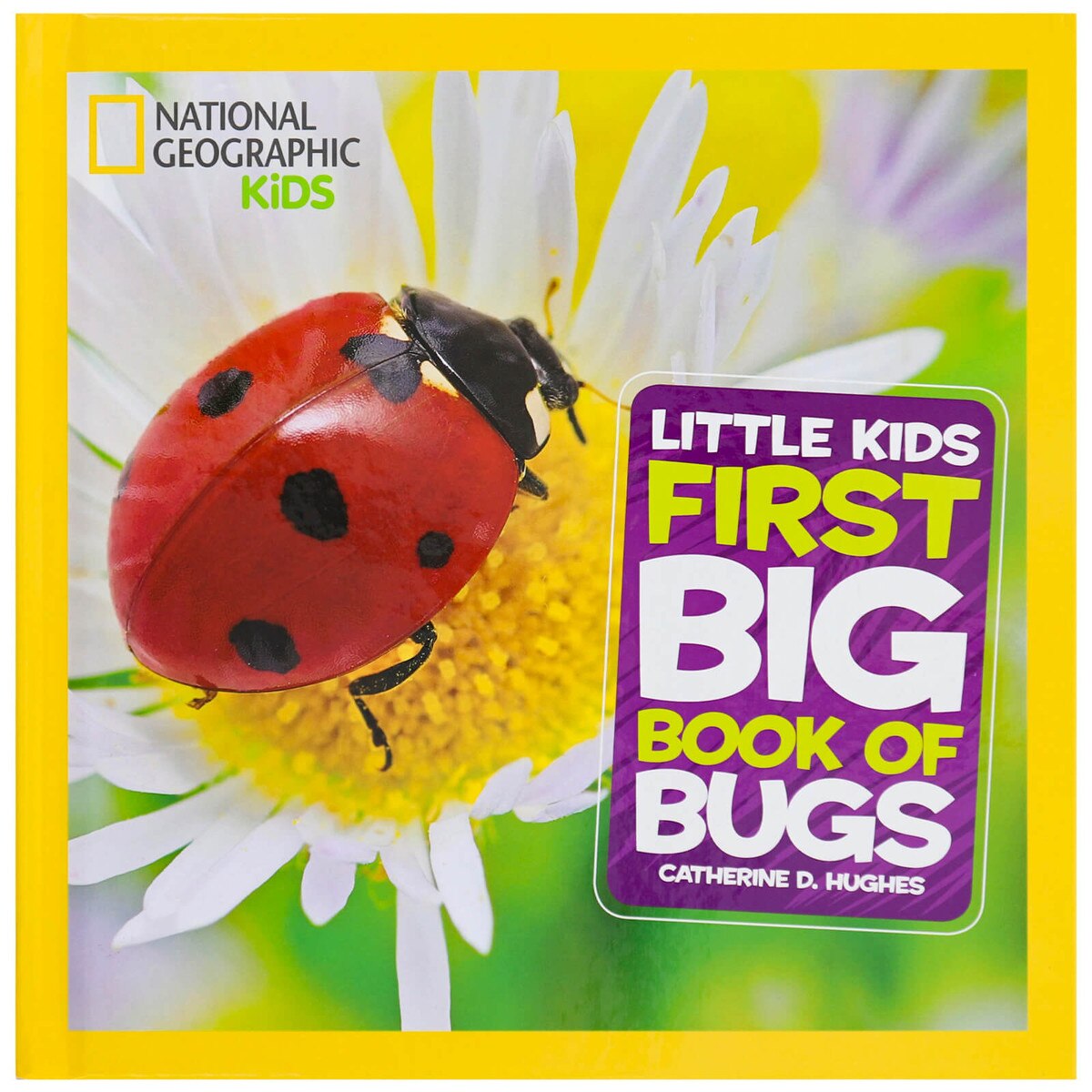 Little Kids First Big Book Of Bugs By Catherine D. Hughes