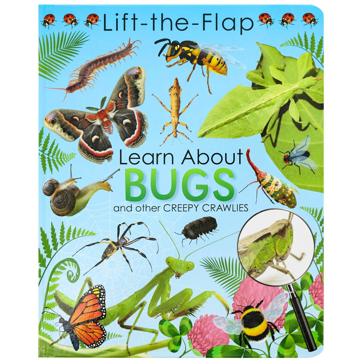 Learn About Bugs and Other Creepy Crawlies: A Lift-The-Flap Book