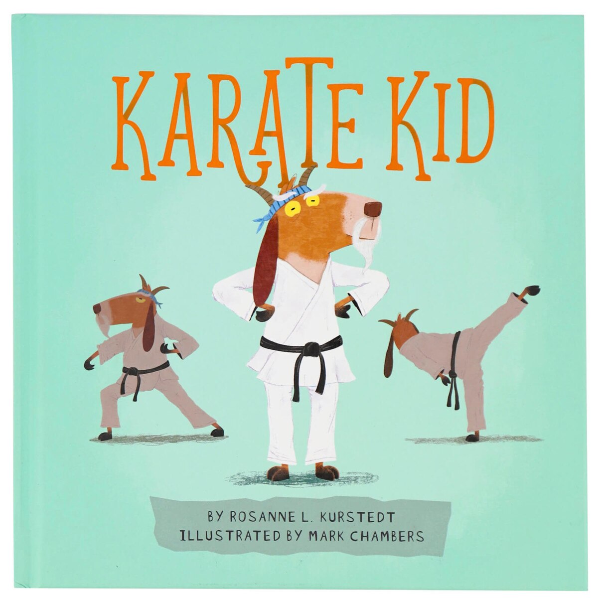 Karate Kid By Rosanne L. Kurstedt and Illustrated By Mark Chambers