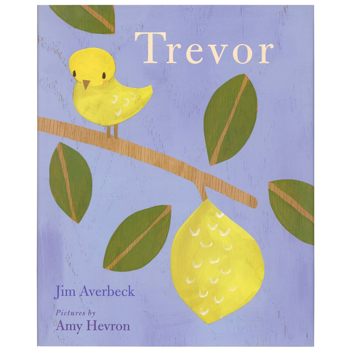 Trevor By Jim Averbeck and Illustrated By Amy Hevron