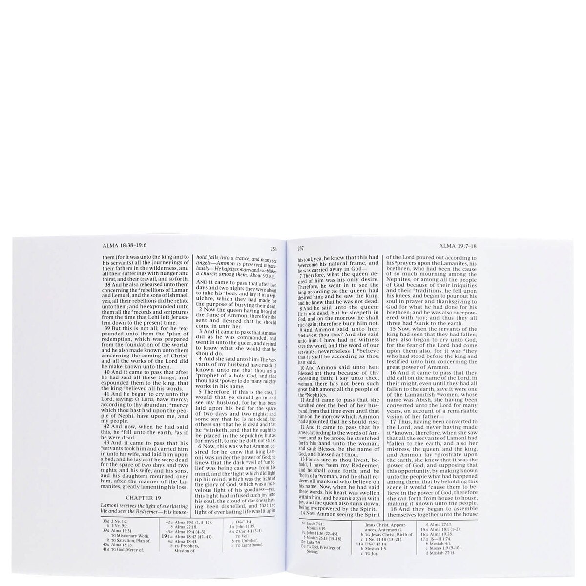 Unlined Mountain Book of Mormon Journal Edition