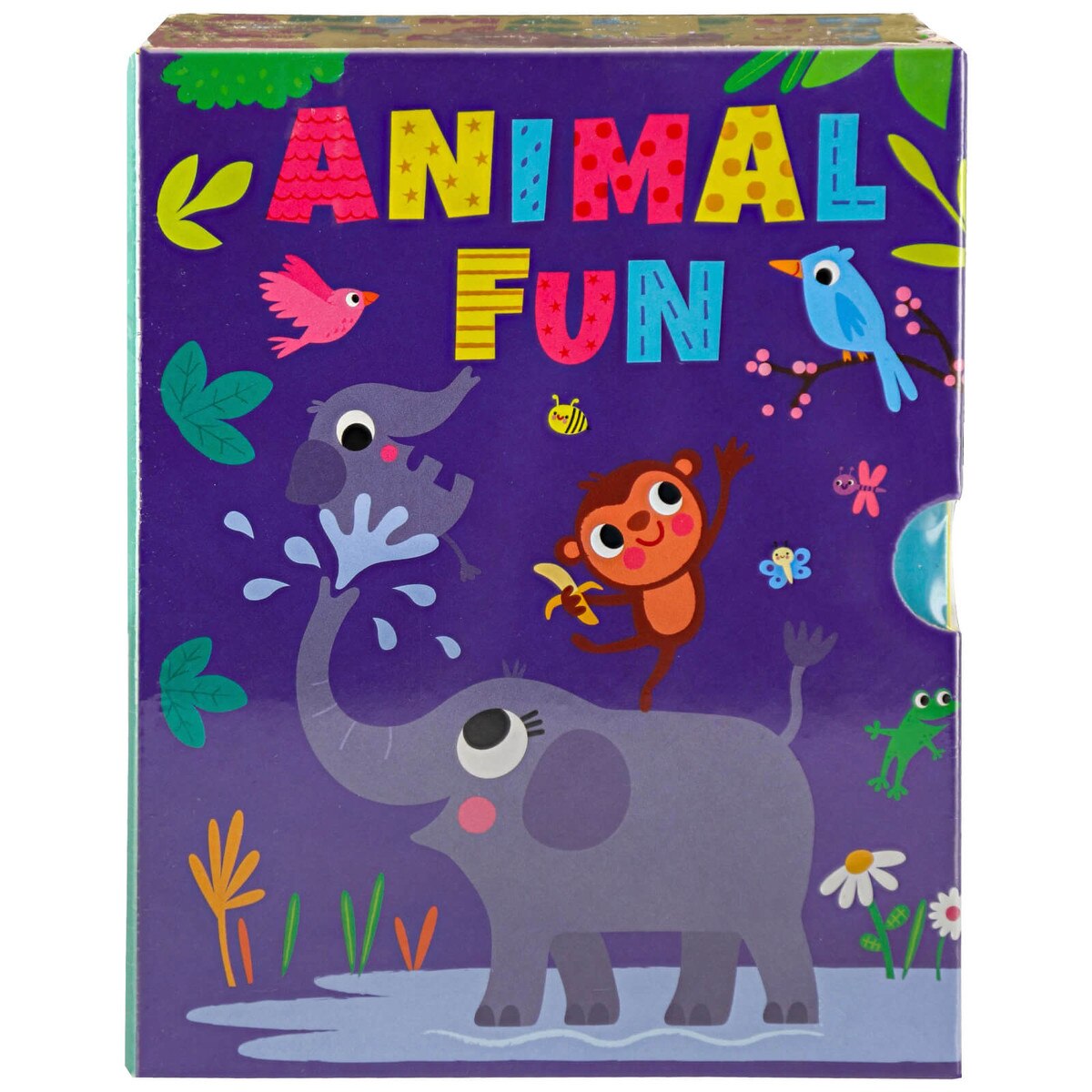 Animal Fun 3 Book Set