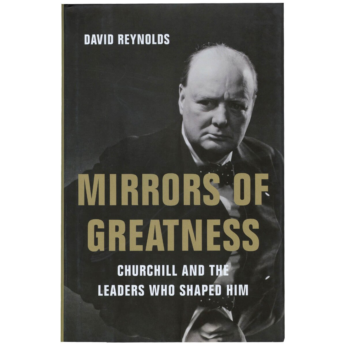 Mirrors of Greatness: Churchill and the Leaders Who Shaped Him by David ...