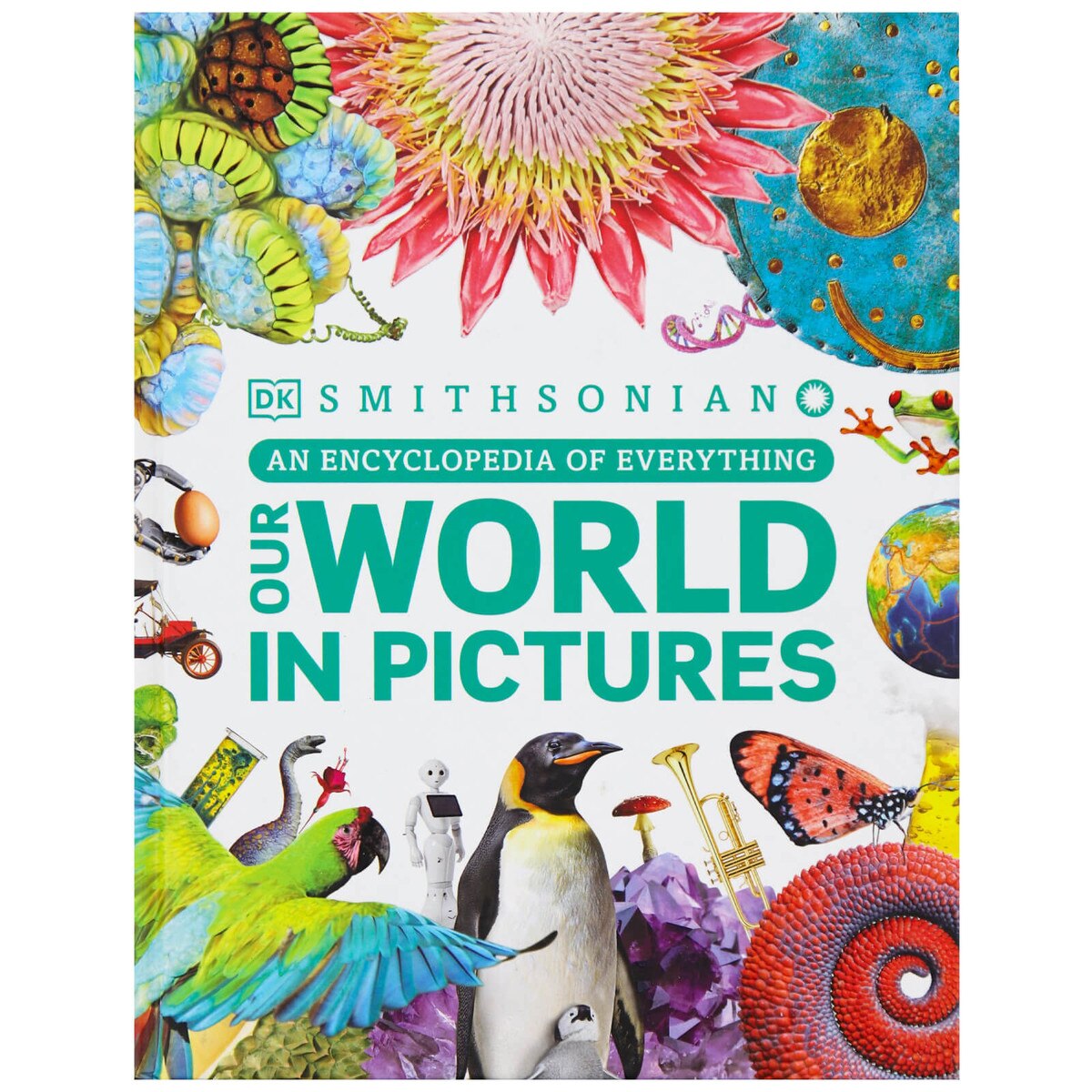Our World in Pictures: An Encyclopedia of Everything by DK Smithsonian