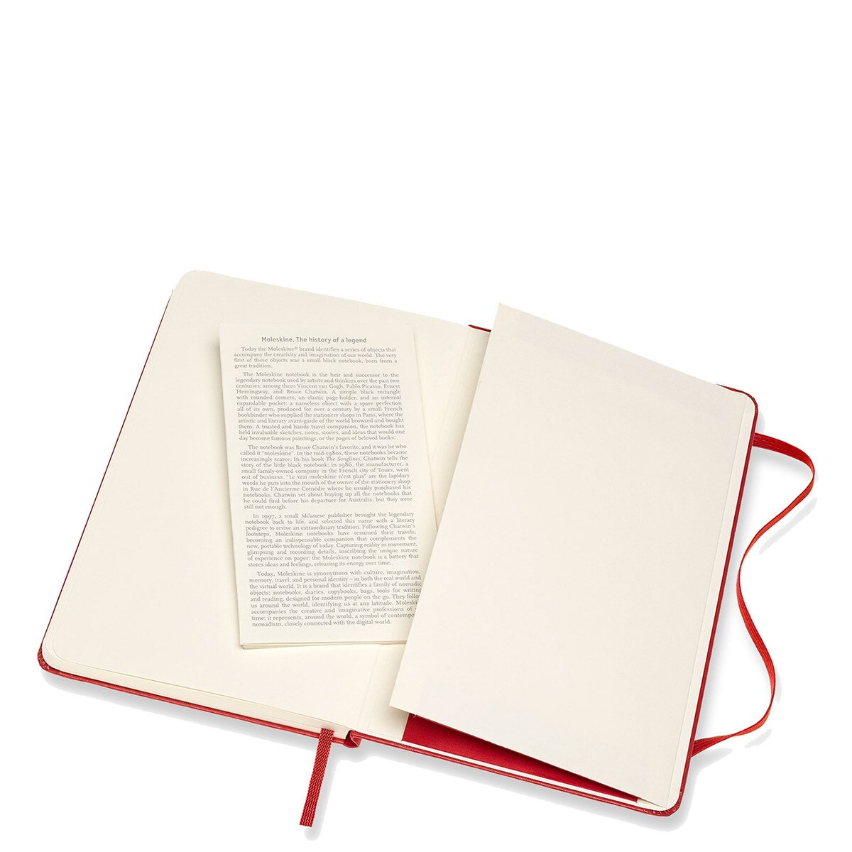 Plain Notebook 5" x 8.25" - Moleskine