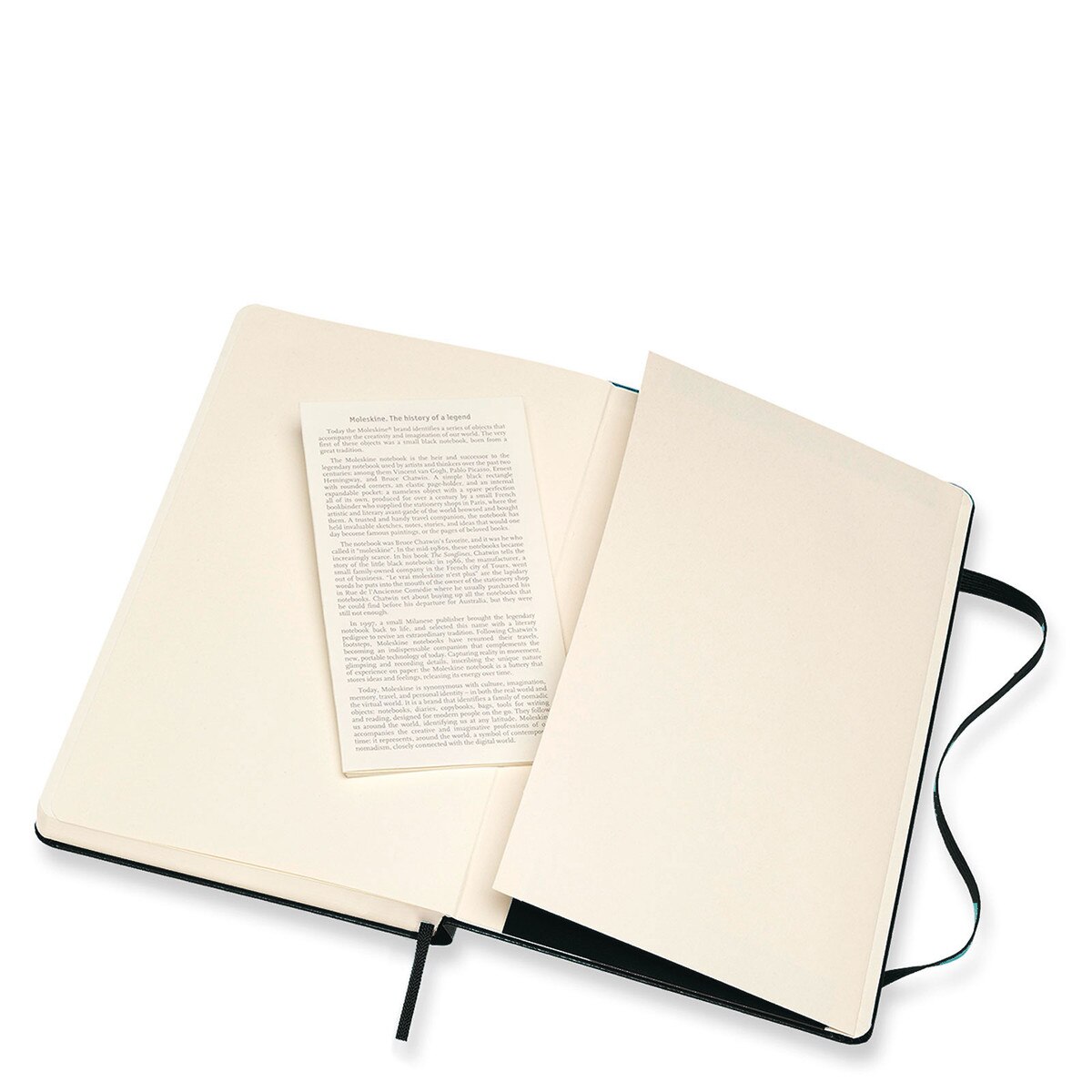 Plain Notebook 7.5" x 9.75" - Moleskine