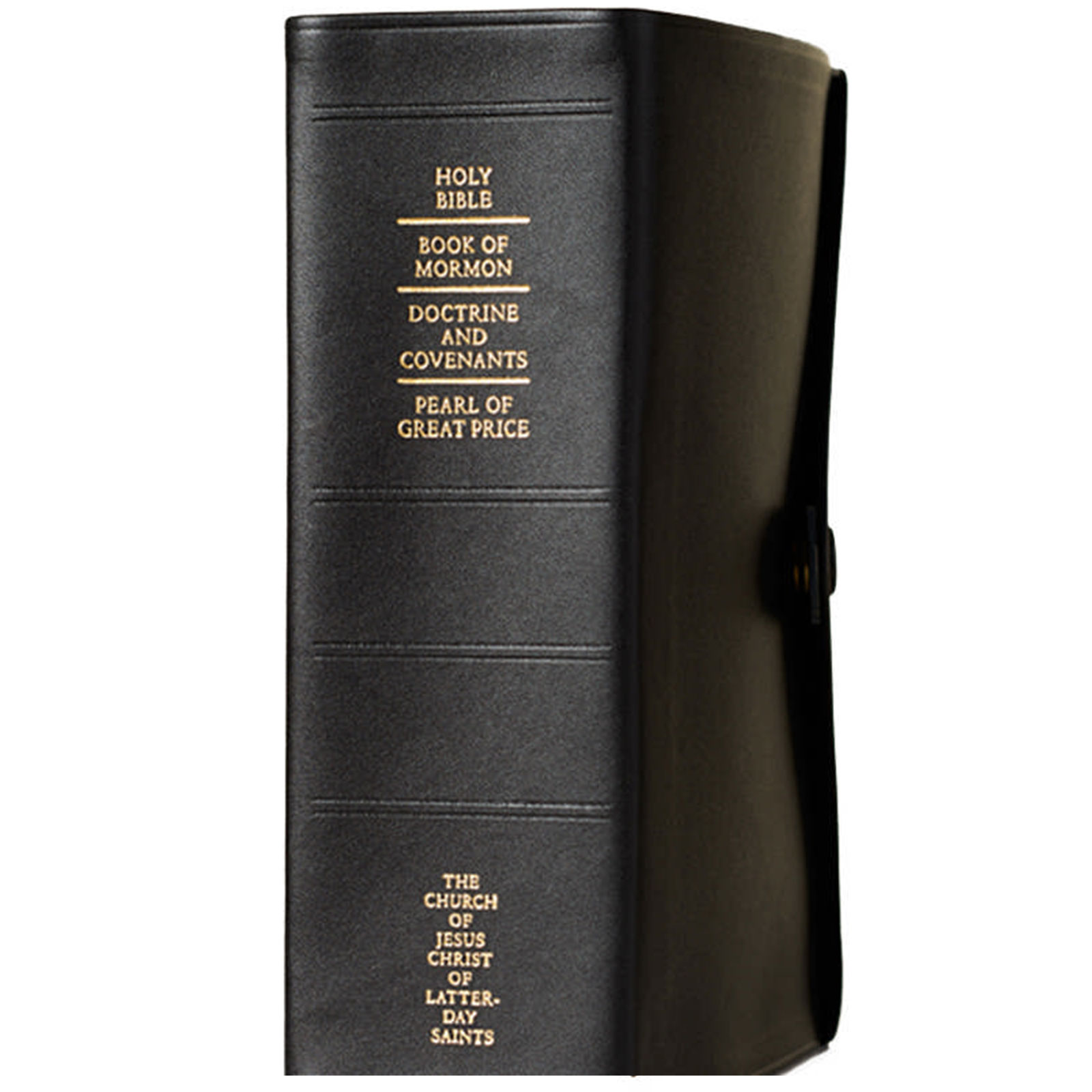 creditcardloki - Blog